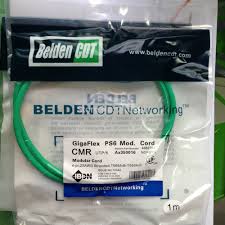 Patchcore utp Belden cat 6 amp 10 feet – AiTi